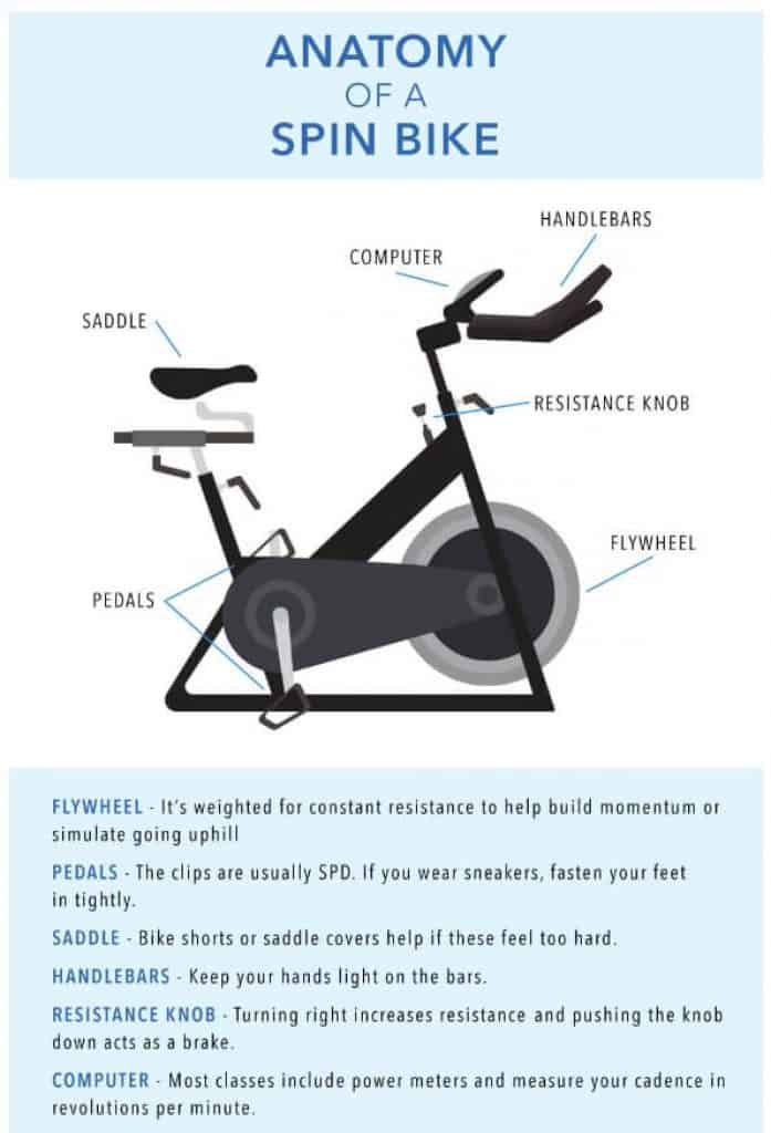 Spin bike vs. Exercise bike: Which One will You Choose & Why?