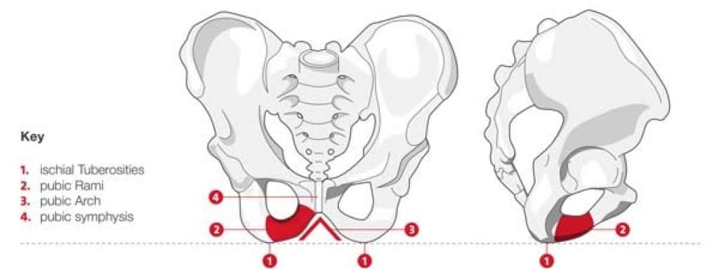 Where Should the Sit Bones Be On a Bike Saddle? - ApexBikes