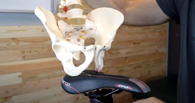 Where Should The Sit Bones Be On A Bike Saddle ApexBikes Where Should The Sit Bones Be On A Bike Saddle ApexBikes