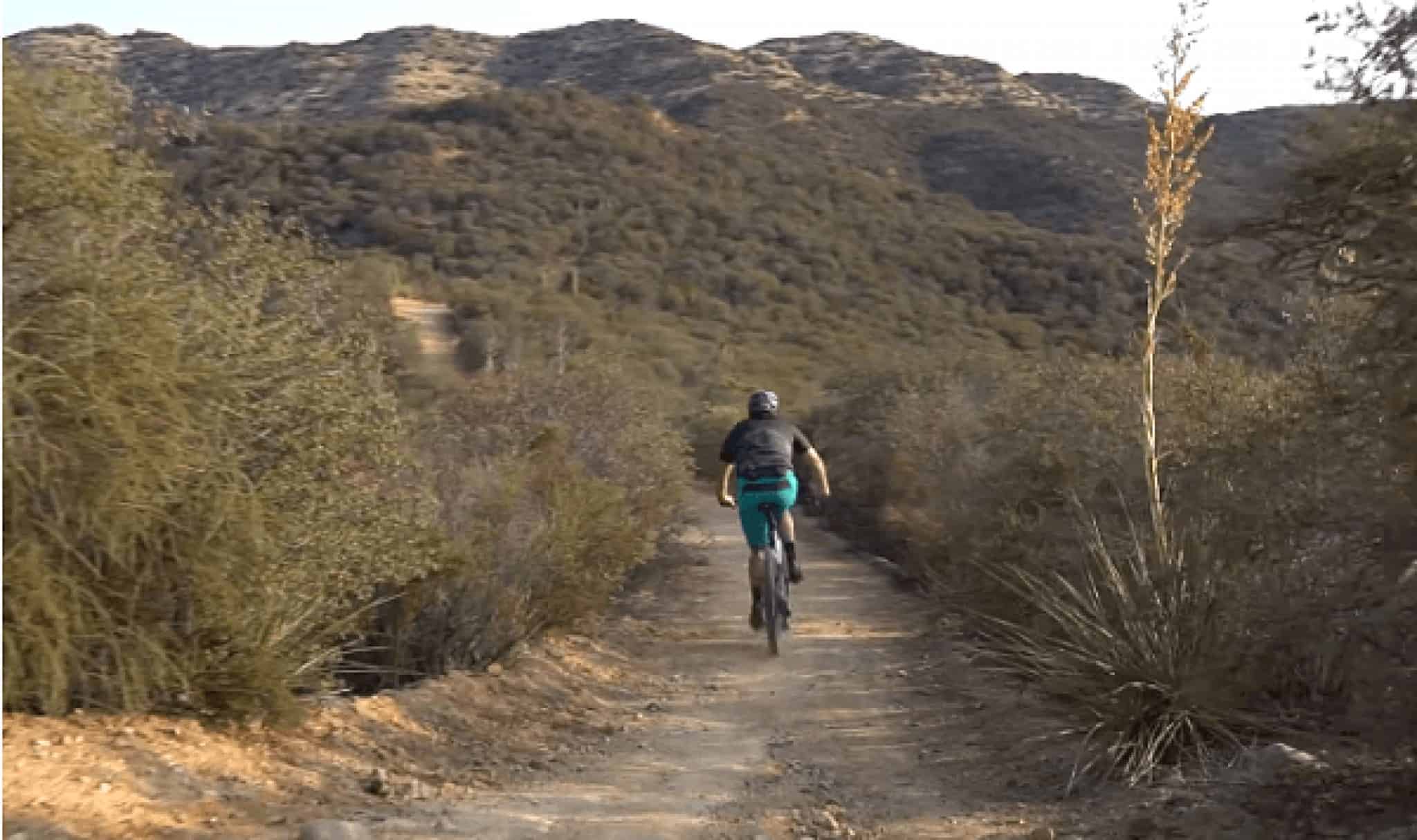 12 Best Cross-Country Mountain Bike Tires (Updated 2025)