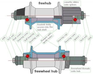 Types of Bike Hubs: Know about hub in detail - ApexBikes